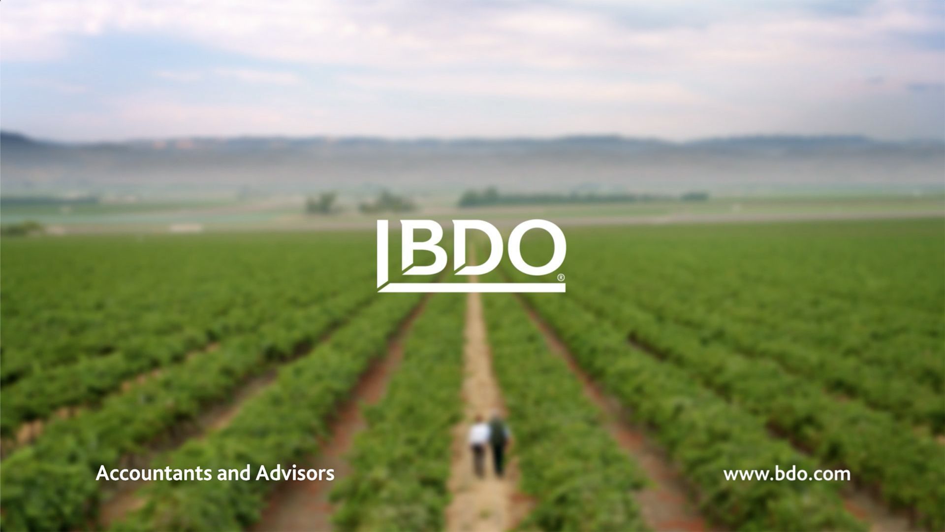 BDO "People Who Know" Campaign by SMA NYC